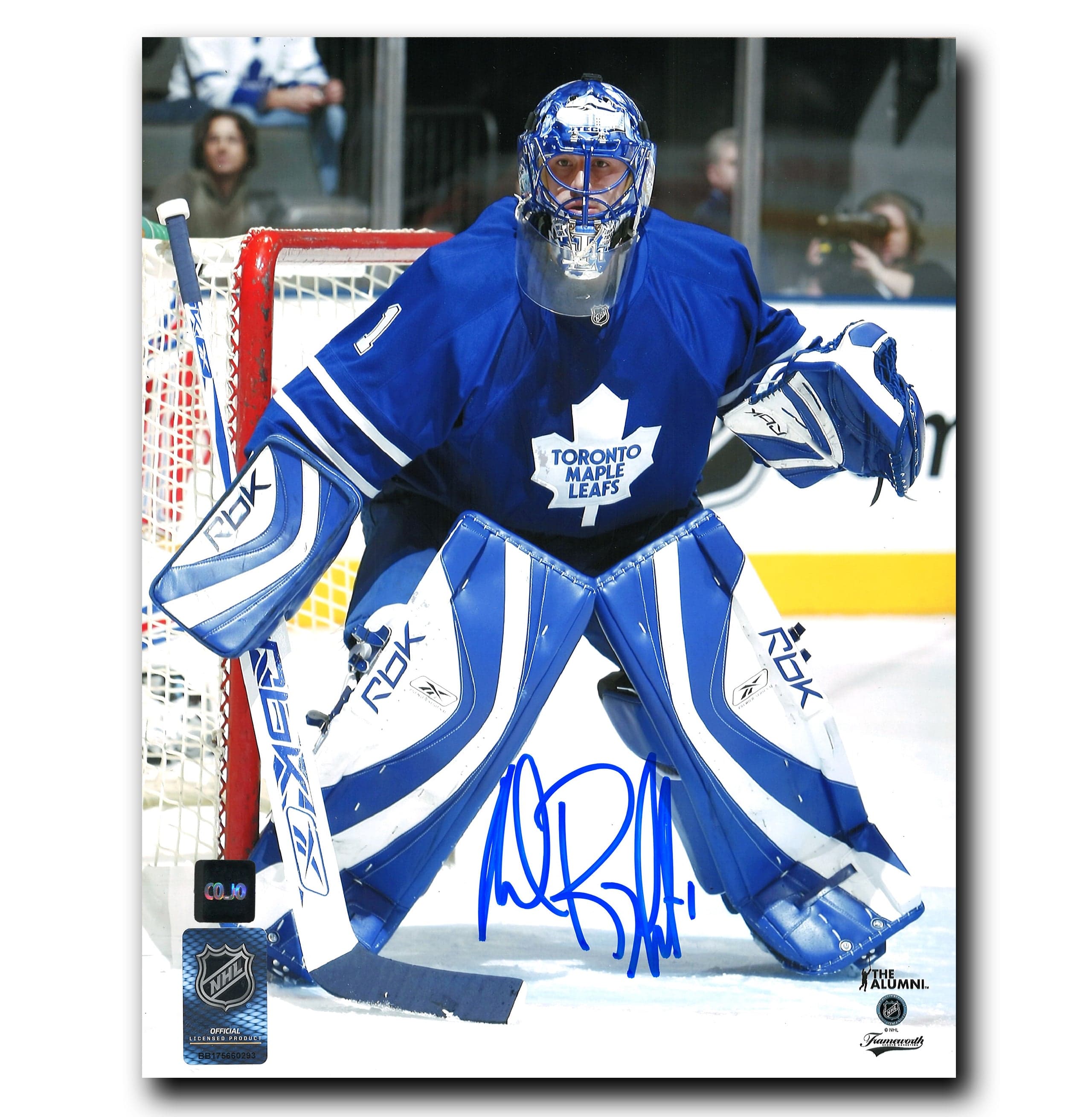 Andrew Raycroft Toronto Maple Leafs Autographed Crease 8x10 Photo ...