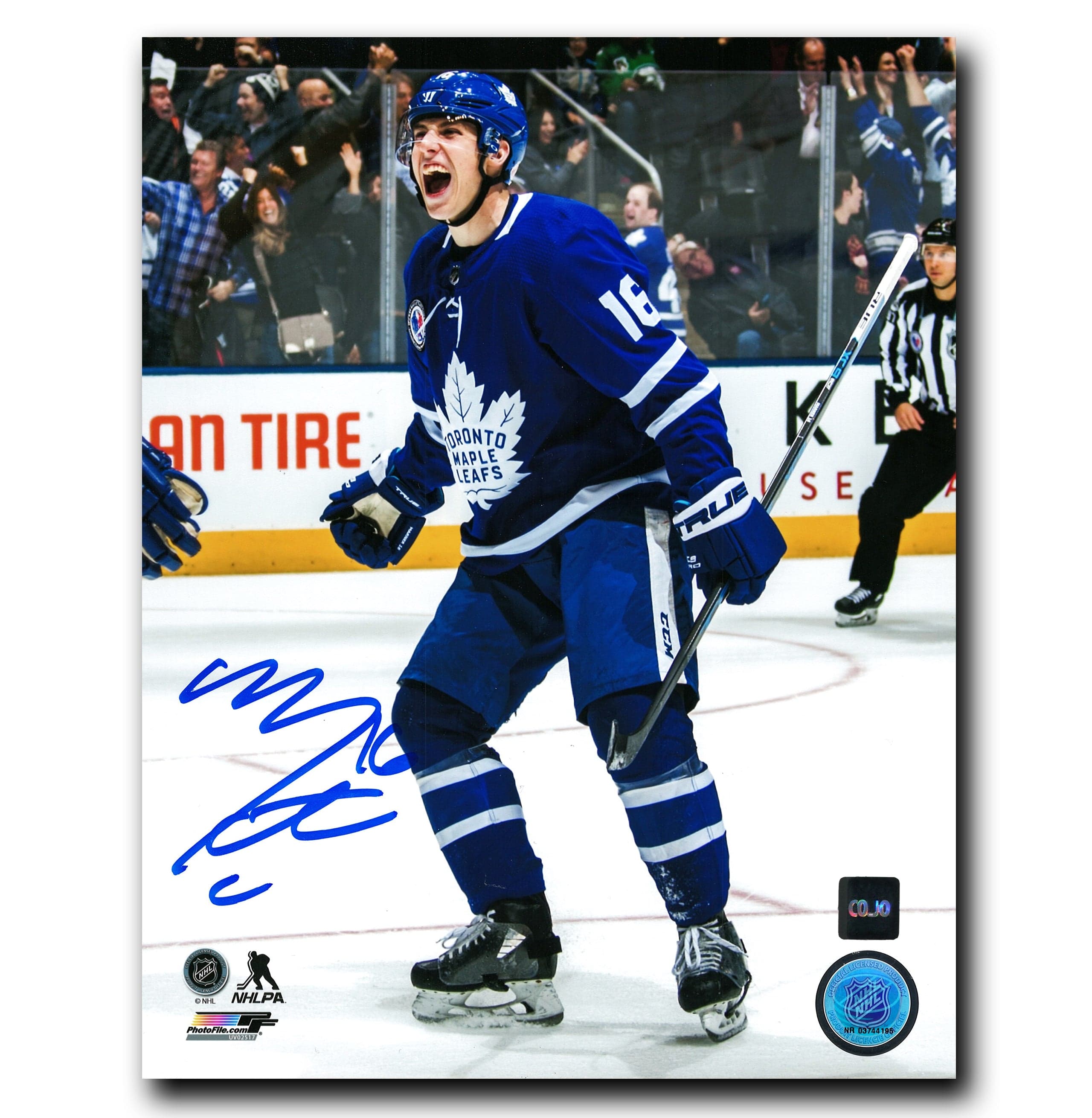 Mitch Marner Toronto Maple Leafs Autographed Goal Celebration 8x10 ...