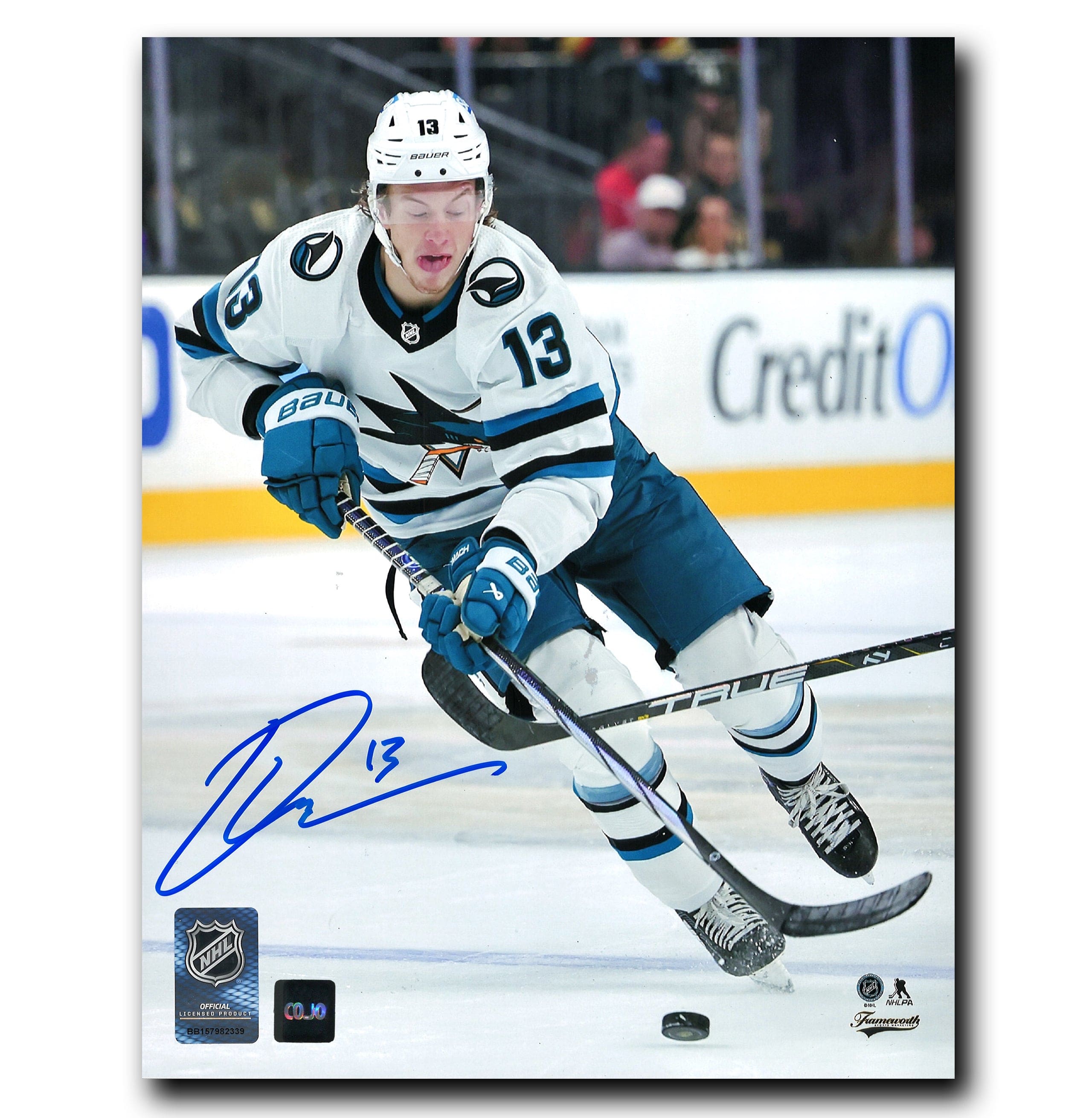 Quentin Musty San Jose Sharks Autographed Action 8x10 Photo | CoJo ...